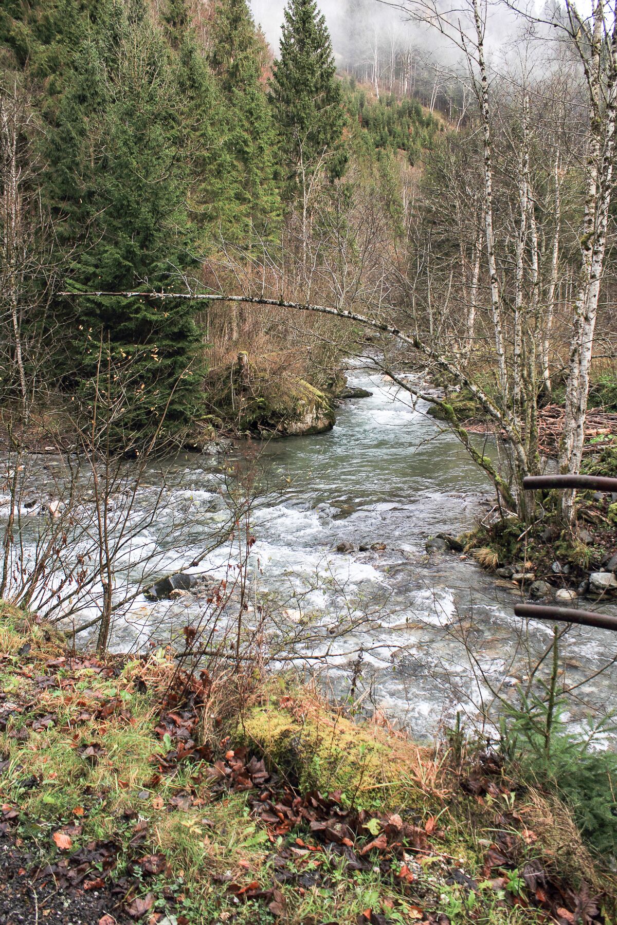 Naturdenkmal untere Gulling – EnnstalWiki