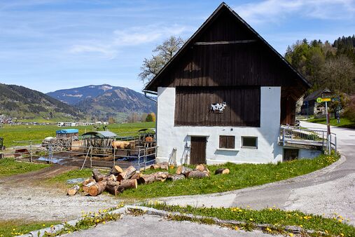 Pfeifer (Lassing) – EnnstalWiki