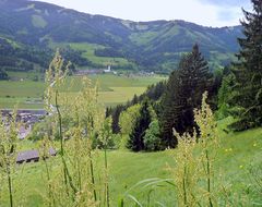 Kategorie:Datei:Lassing – EnnstalWiki