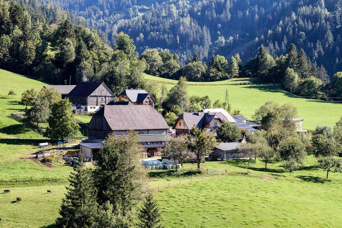 Zamberg – EnnstalWiki